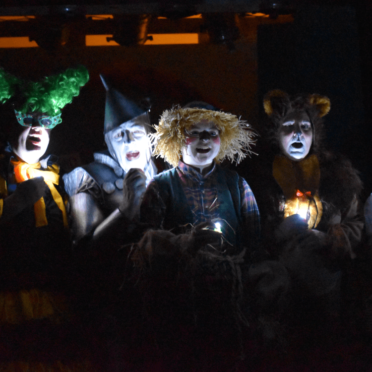 Sutton Bridge Players